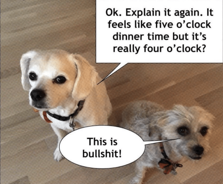 That Pesky Time Change is Coming: How to Tell Your Pet