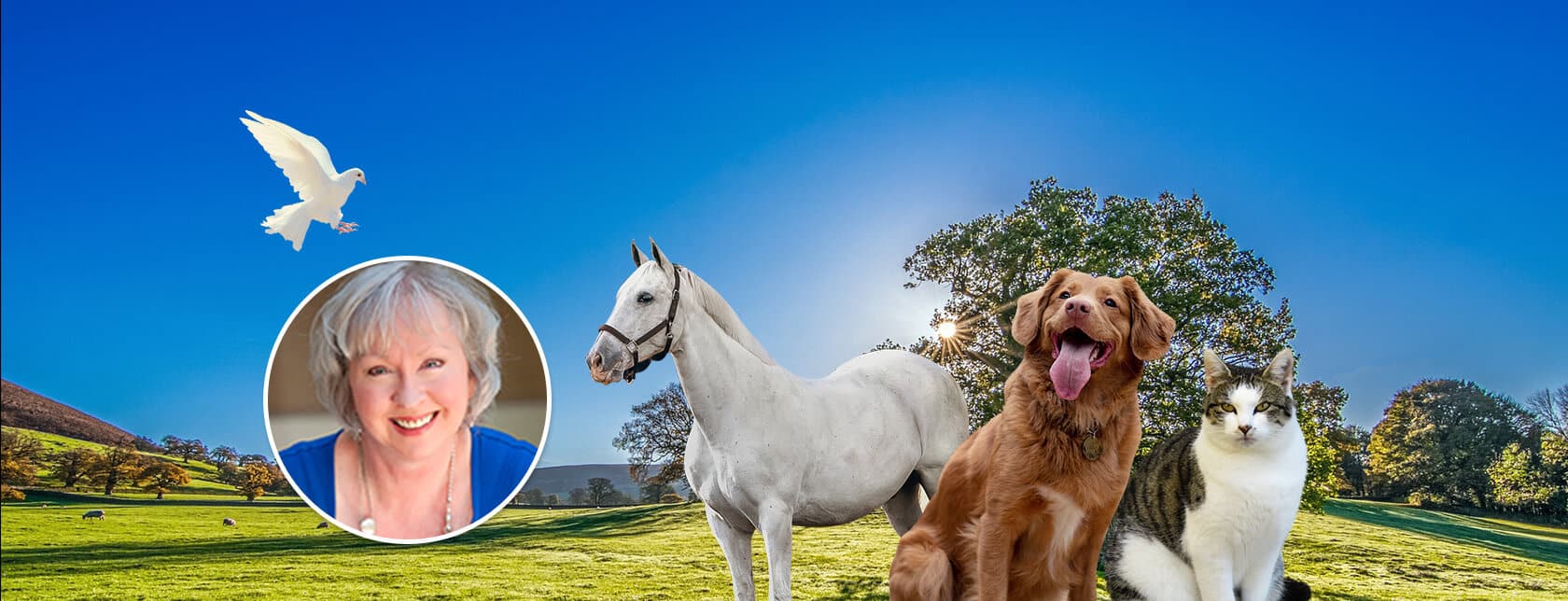 27 Brilliant & Unexpected Reasons to Learn Animal Communication