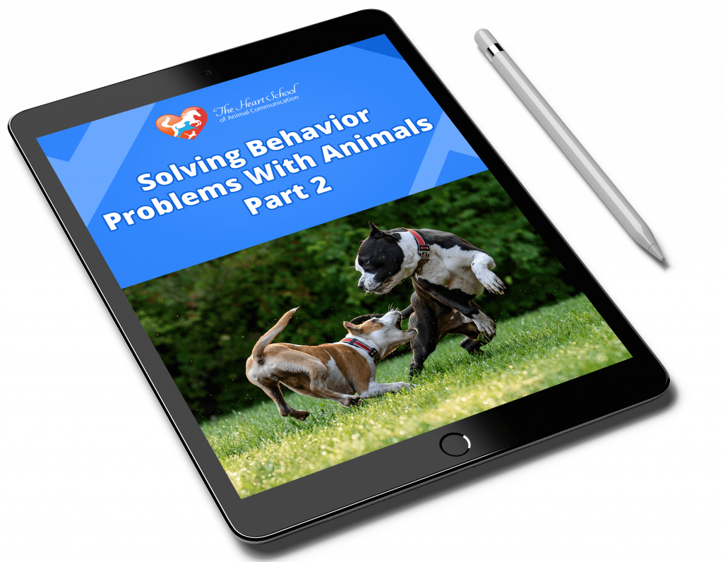 Masterclasses - Learn How To Talk To Animals