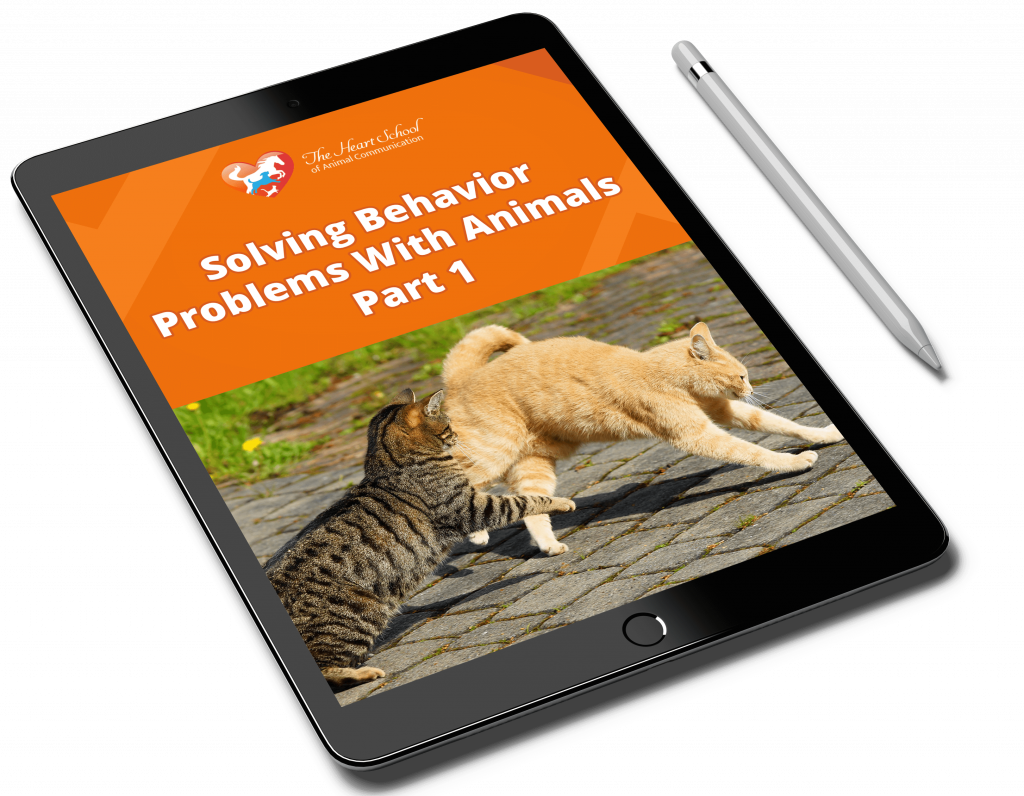 Masterclasses - Learn How To Talk To Animals