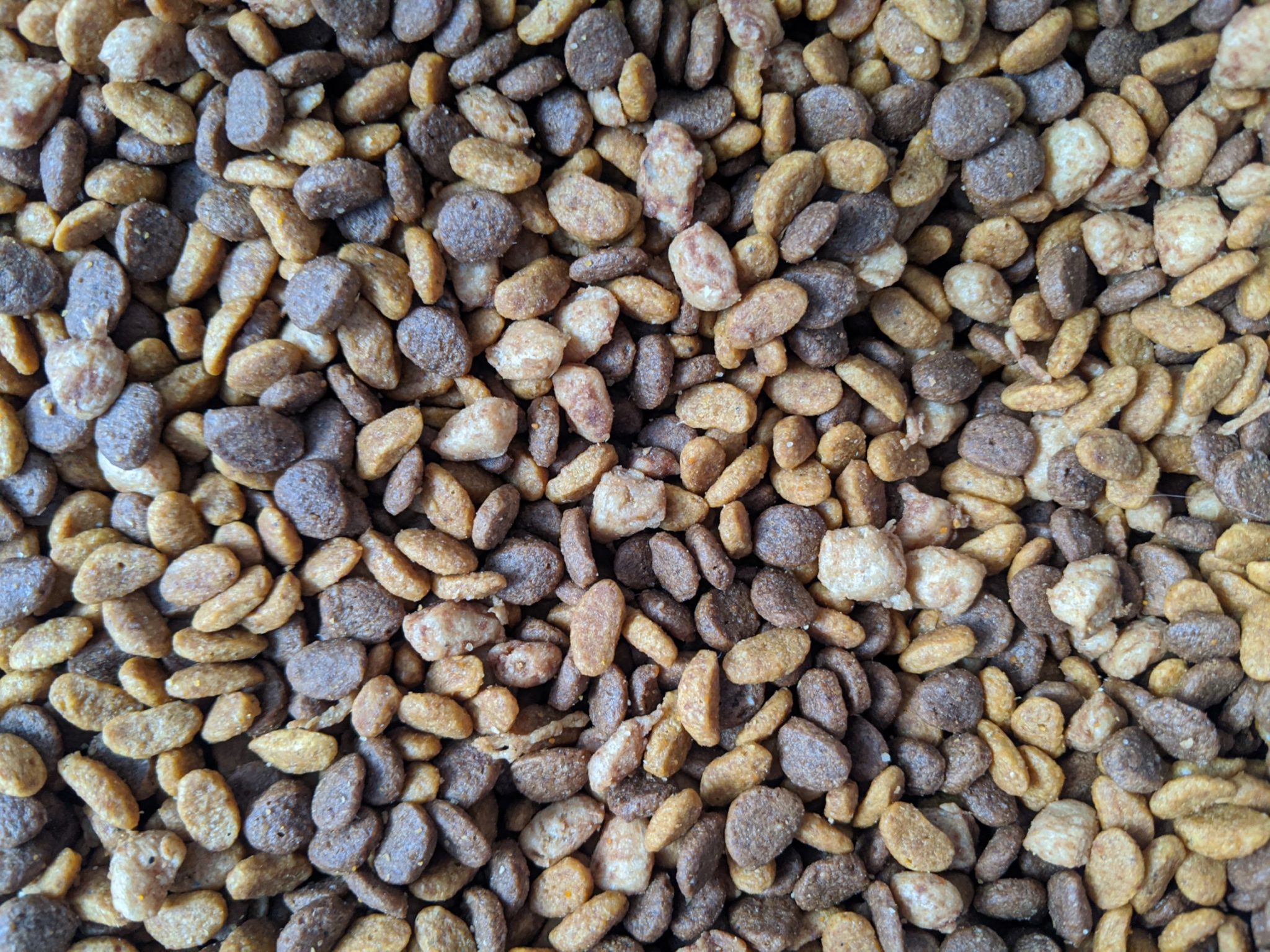 All About Pet Food: A Collection for Your Convenience - Learn How To ...