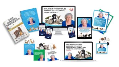 Best Beginning Animal Communication Course Available