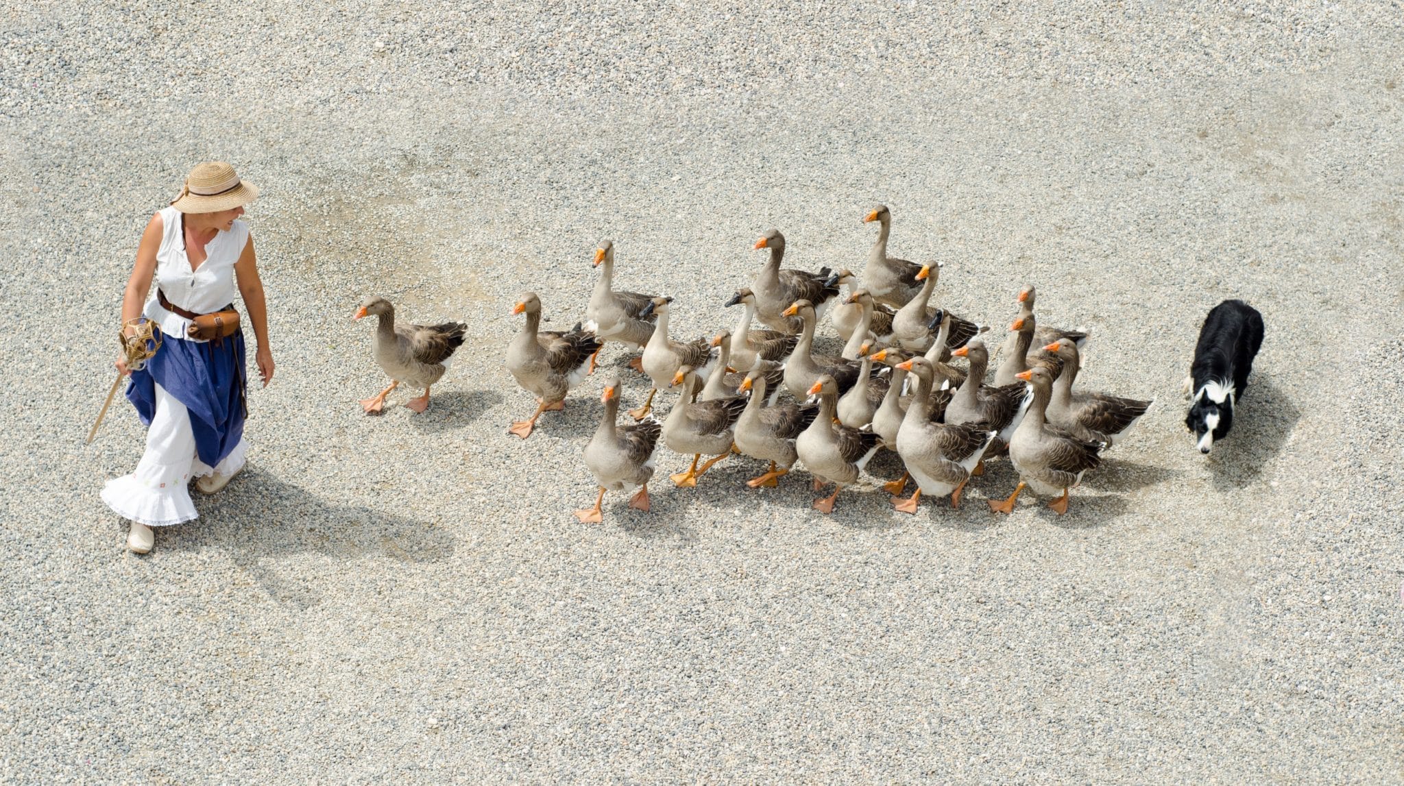 Animal Talk Blog - Learn How To Talk To Animals