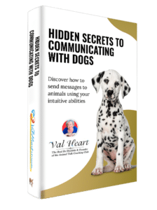Hidden Secrets Dog eBook Download - Learn How To Talk To Animals