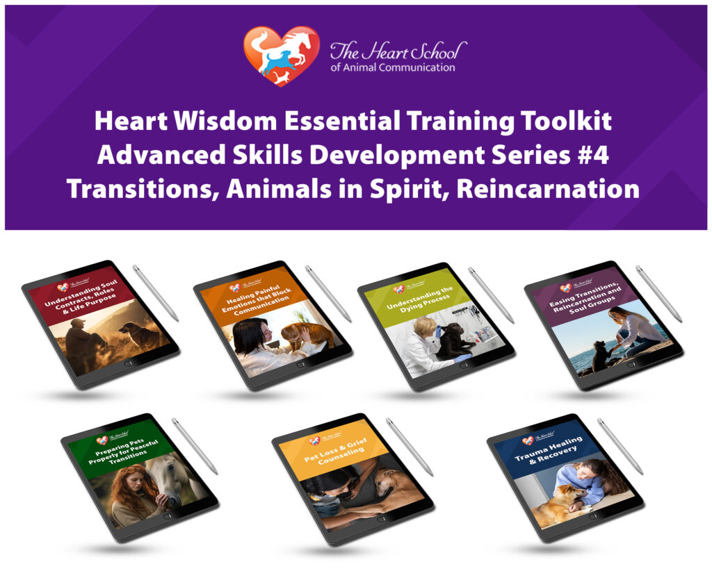 Heart Wisdom Essential Training Toolkit Advanced Skills Development Series #4 Transitions ...