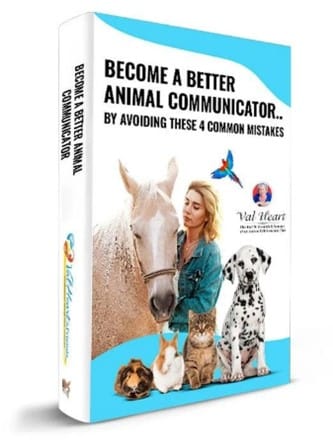 I Never Wanted to Work With People (And That’s What Made Me a Better ...