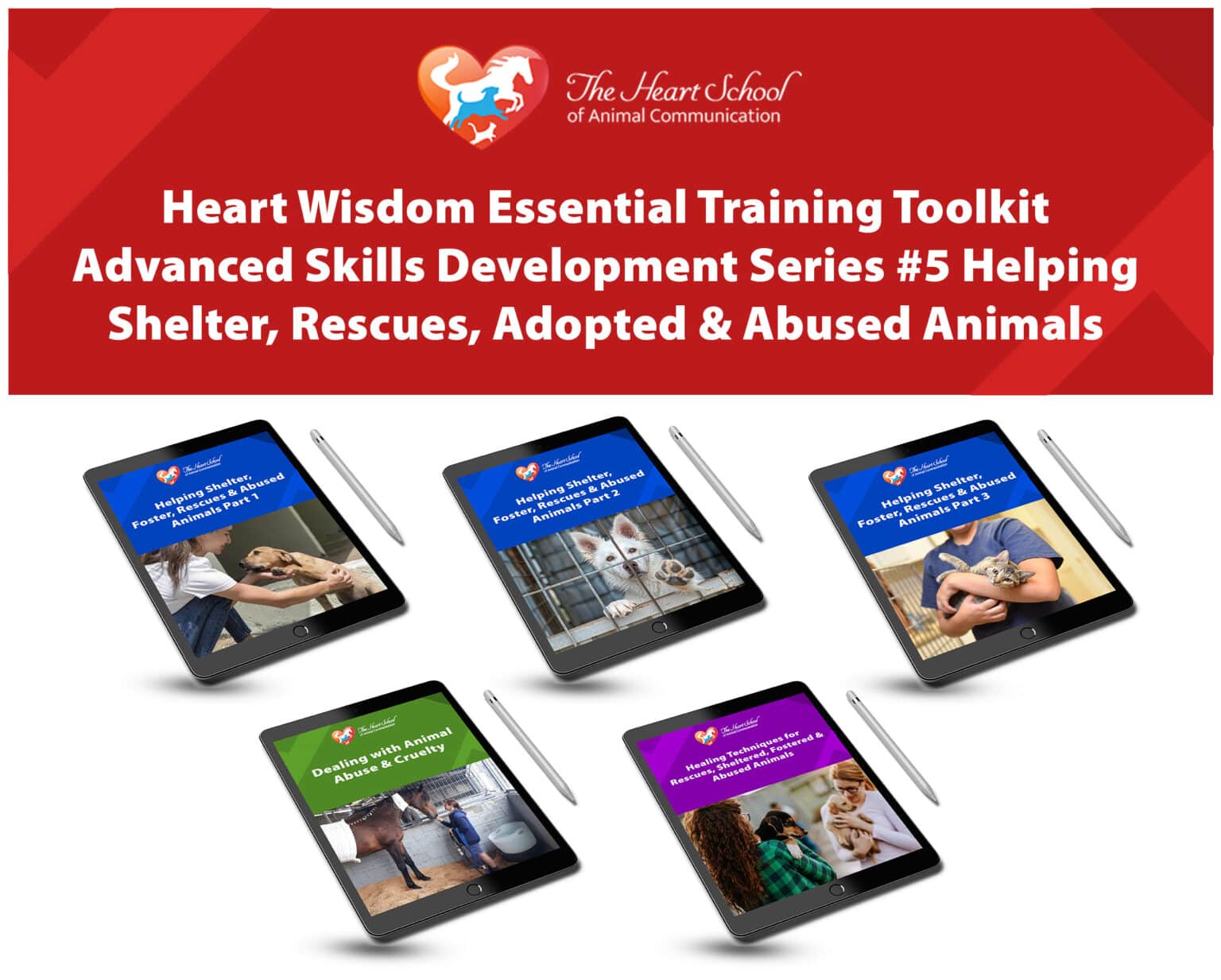 Advanced Animal Communication Skills Development Training