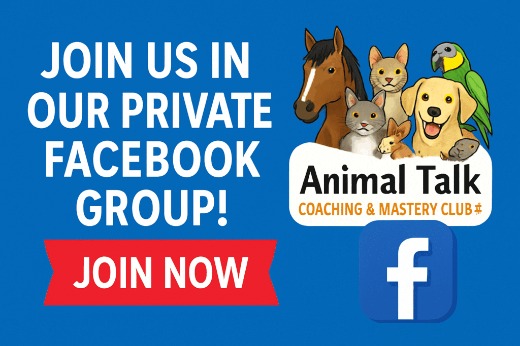 Animal Talk Blog - Learn How To Talk To Animals