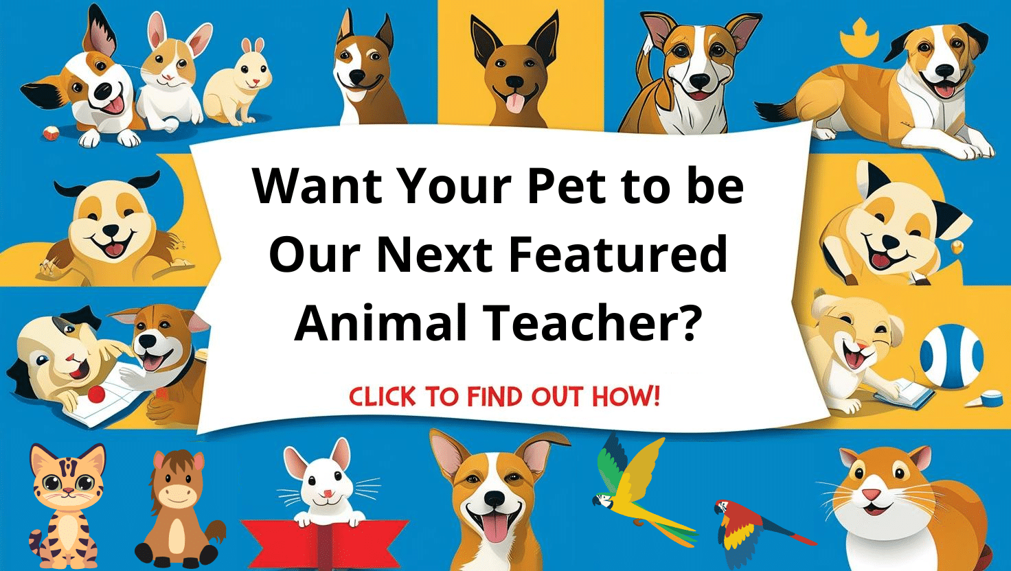 5 Critical Animal Whisperer Questions To Ask Your Pet