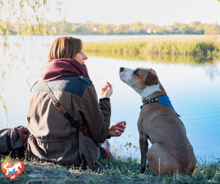 When Animal Communication Doesn't Work to Change Behavior - Learn How ...